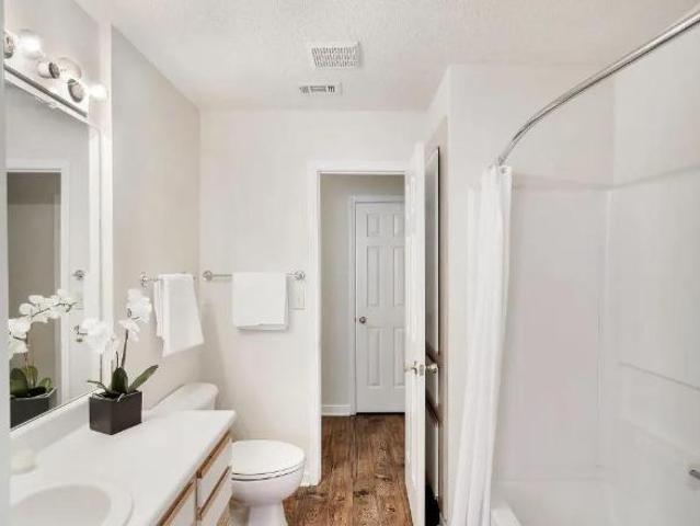 1 Br, 1 bath, Apartment 131 Woodchase Park Dr