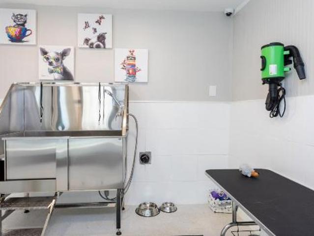1 Br, 1 bath, Apartment 1331 Wicklow Ct