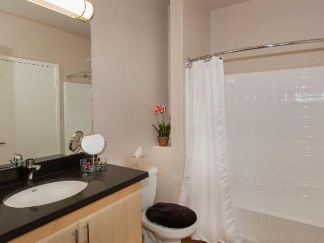 1 Br, 1 bath, Apartment 145 Chestnut St