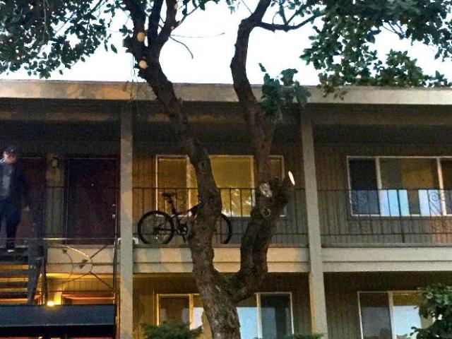 1 Br, 1 bath, Apartment 14821 14839