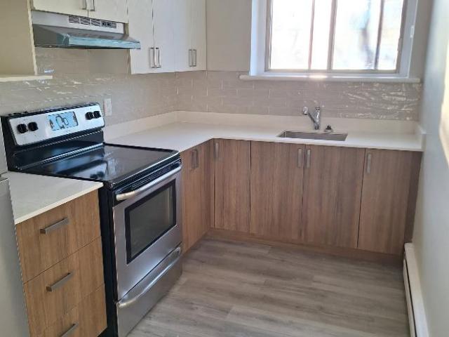 1 Br, 1 bath, Apartment 1404 Rosenthal