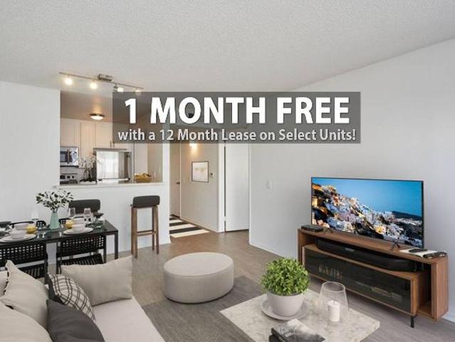 1 Br, 1 bath, Apartment 143 South Burlington Avenue