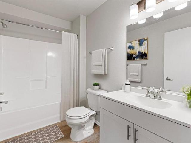 1 Br, 1 bath, Apartment 1510 Cooley St