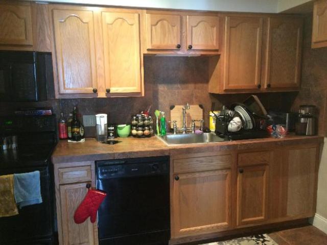 1 Br, 1 bath, Apartment 151 Robinson St