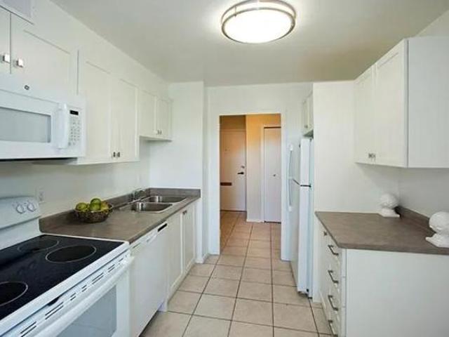 1 Br, 1 bath, Apartment 15 Brookbanks Dr
