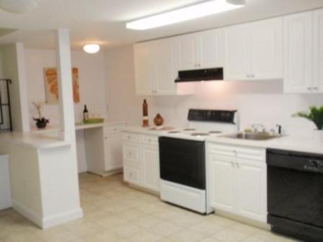1 Br, 1 bath, Apartment 15 Green Street