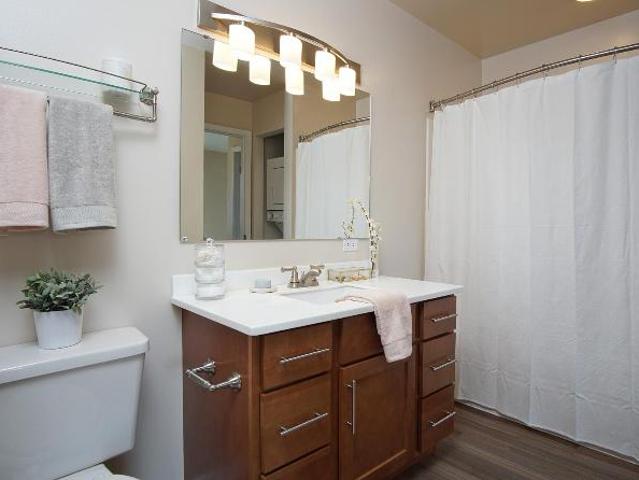 1 Br, 1 bath, Apartment 1647 Westminster Dr