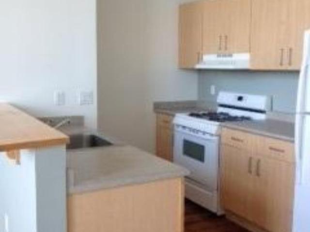 1 Br, 1 bath, Apartment 166 Valley Street