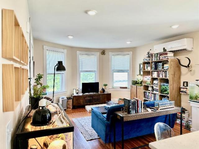 1 Br, 1 bath, Apartment 193 Vinton Street
