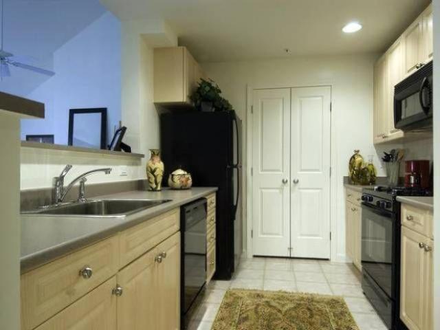 1 Br, 1 bath, Apartment 1 Avalon Way