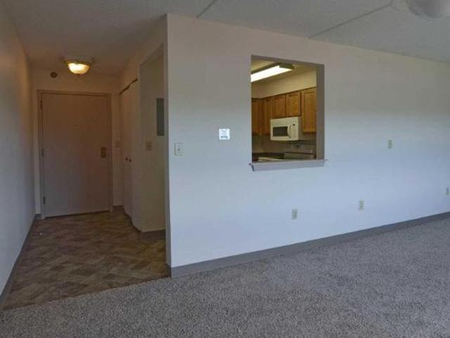 1 Br, 1 bath, Apartment 1 Coolidge Place