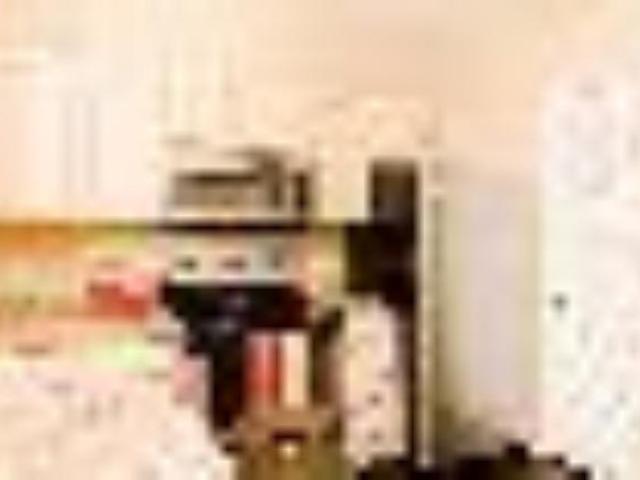 1 Br, 1 bath, Apartment 1 Ovaltine Ct
