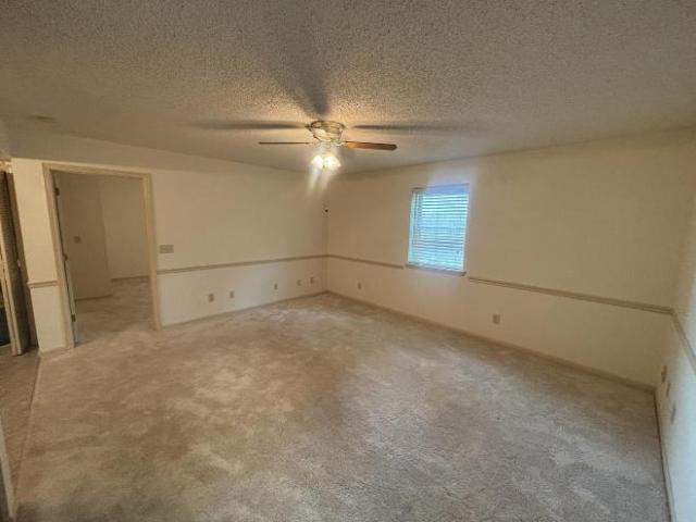 1 Br, 1 bath, Apartment 2013 2nd Loop Rd