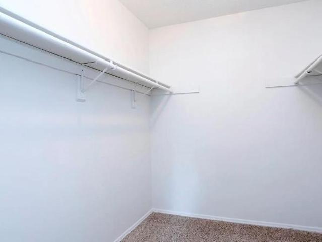 1 Br, 1 bath, Apartment 2038 Quail Forest Dr