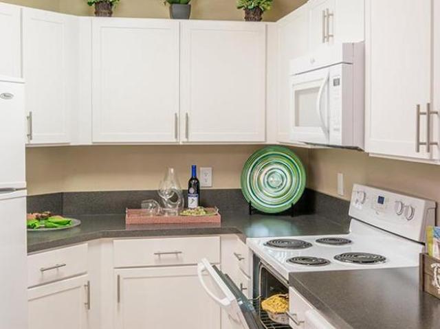 1 Br, 1 bath, Apartment 220 Savannah Lakes Drive