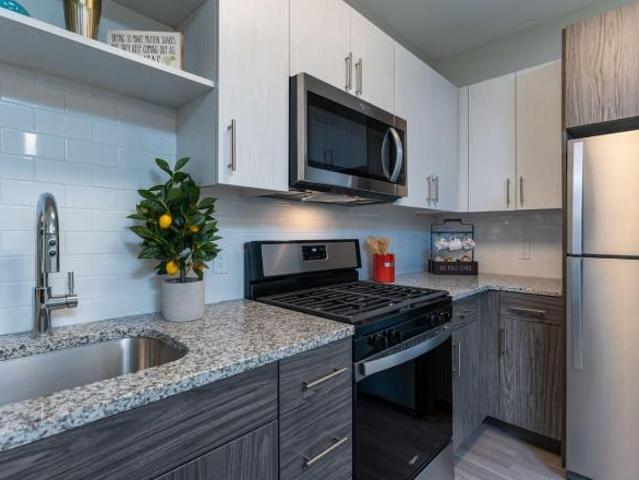 1 Br, 1 bath, Apartment 220 Wareham Road