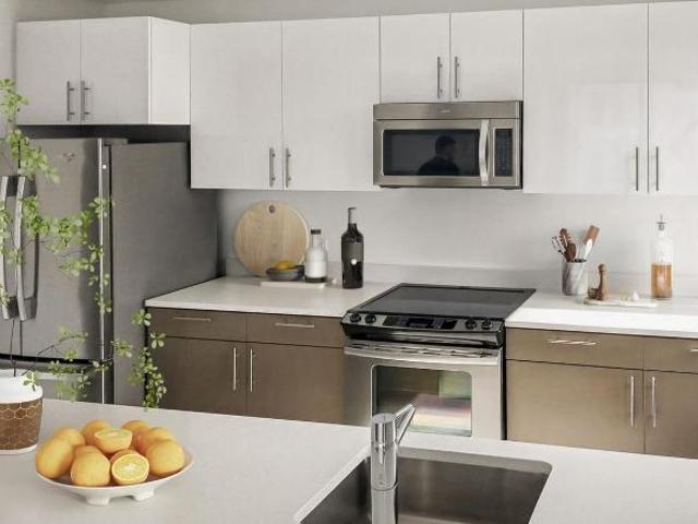1 Br, 1 bath, Apartment 250 Kendall Street