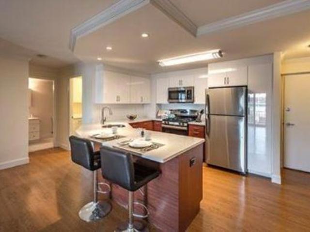 1 Br, 1 bath, Apartment 266 Waverly Street