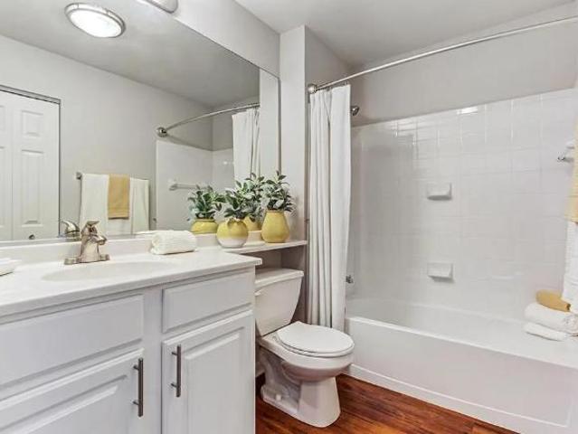 1 Br, 1 bath, Apartment 3055 Riverbranch Dr
