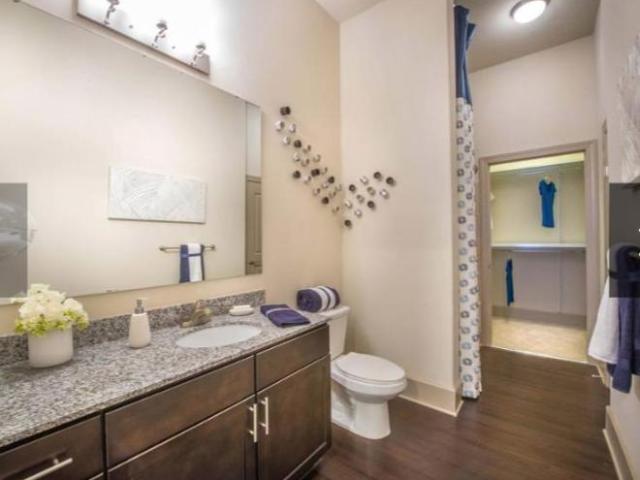1 Br, 1 bath, Apartment 3000 Forrest Walk