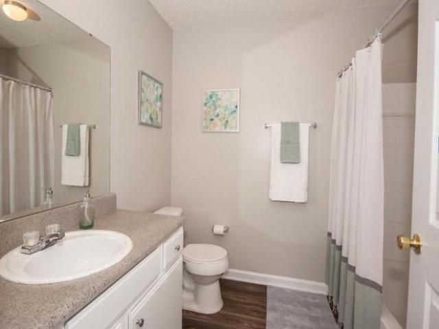 1 Br, 1 bath, Apartment 318 Columbia Drive