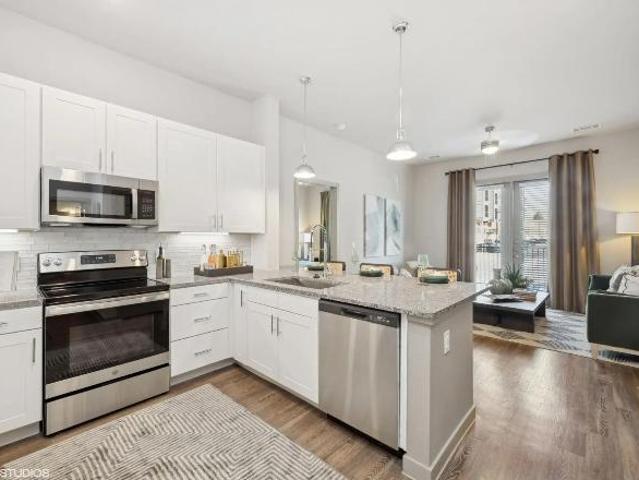 1 Br, 1 bath, Apartment 3301 President George Bush Tpke