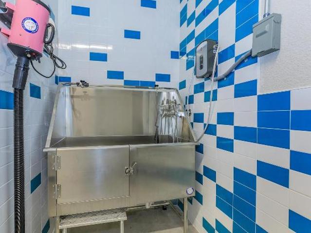 1 Br, 1 bath, Apartment 343 E Rio Grande St