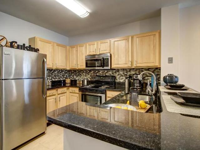 1 Br, 1 bath, Apartment 34 Brainard Ave