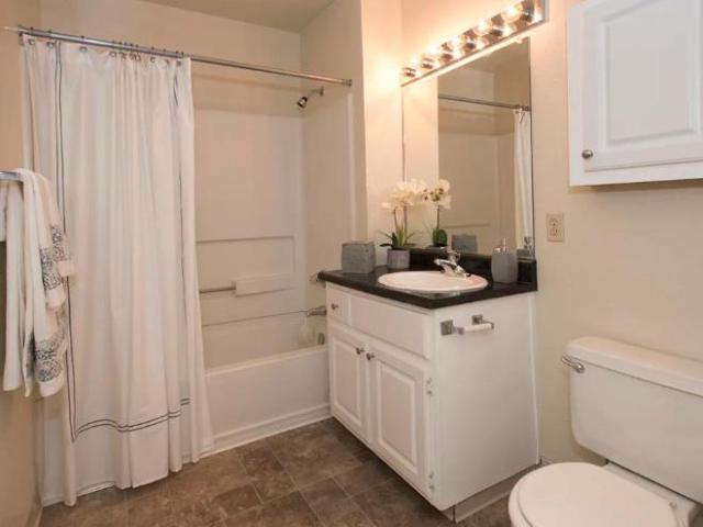 1 Br, 1 bath, Apartment 3500 Data Dr