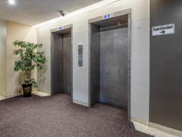 1 Br, 1 bath, Apartment 35 Duncanwoods Dr