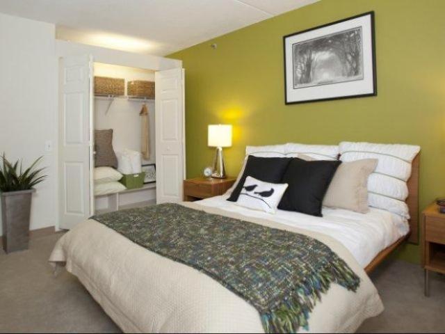 1 Br, 1 bath, Apartment 3610 Mystic Valley Pkwy