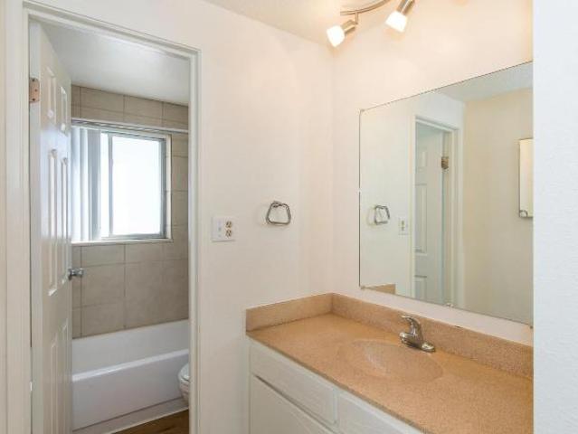 1 Br, 1 bath, Apartment 3780 Rebecca Ln