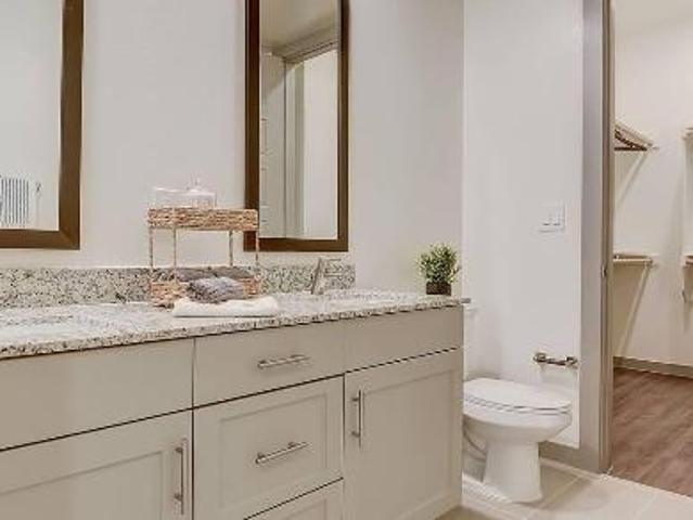 1 Br, 1 bath, Apartment 3701 Dr Mlk Jr Dr
