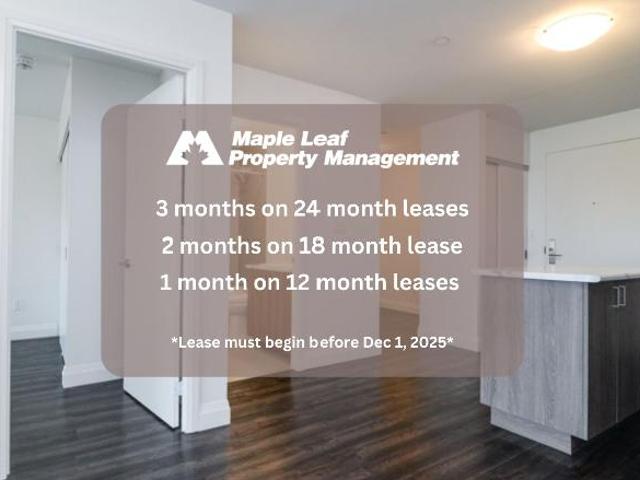 1 Br, 1 bath, Apartment 7 Walmer Road