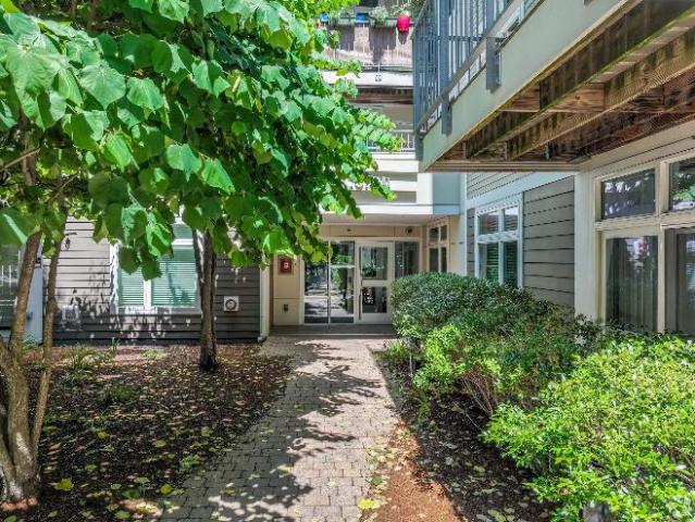 1 Br, 1 bath, Apartment 7 Cameron Avenue
