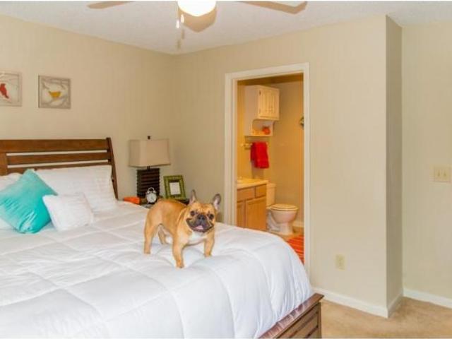 1 Br, 1 bath, Apartment 4343 Warm Springs Rd