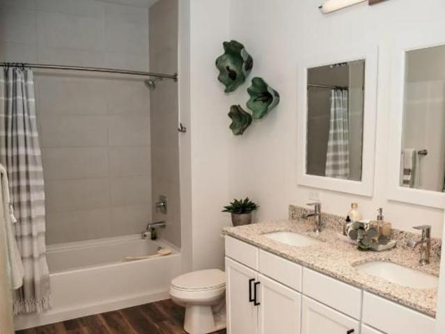 1 Br, 1 bath, Apartment 450 Woodmoor Dr