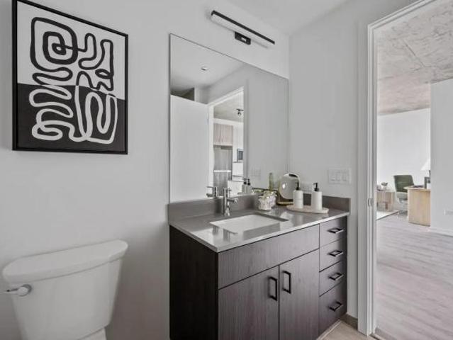 1 Br, 1 bath, Apartment 460 W Chicago Ave
