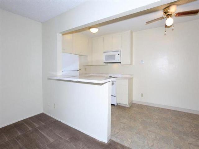 1 Br, 1 bath, Apartment 4981 Catoctin Drive