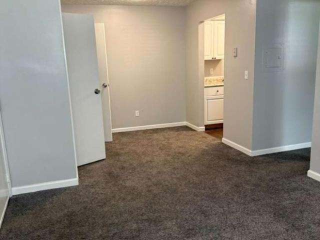 1 Br, 1 bath, Apartment 4911 Ash Street