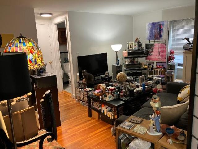 1 Br, 1 bath, Apartment 50 Harvard Avenue