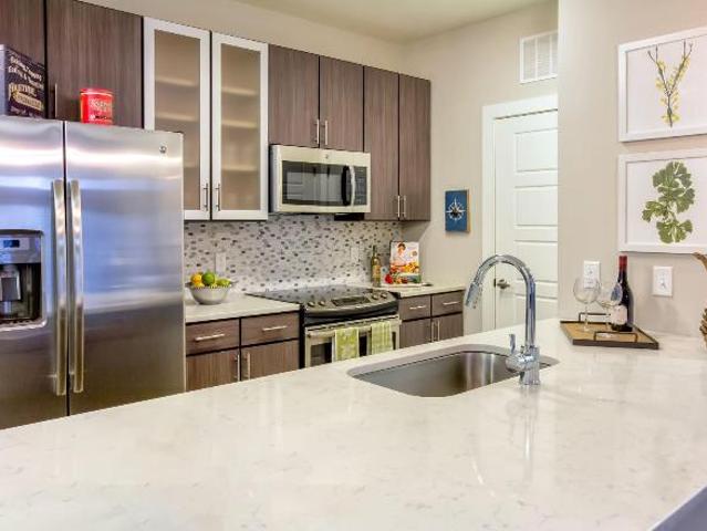 1 Br, 1 bath, Apartment 515 Robert Daniel Dr