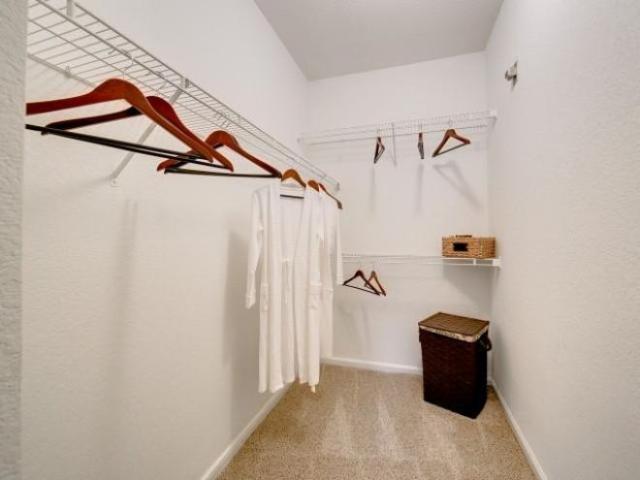 1 Br, 1 bath, Apartment 5200 Town and Country Boulevard