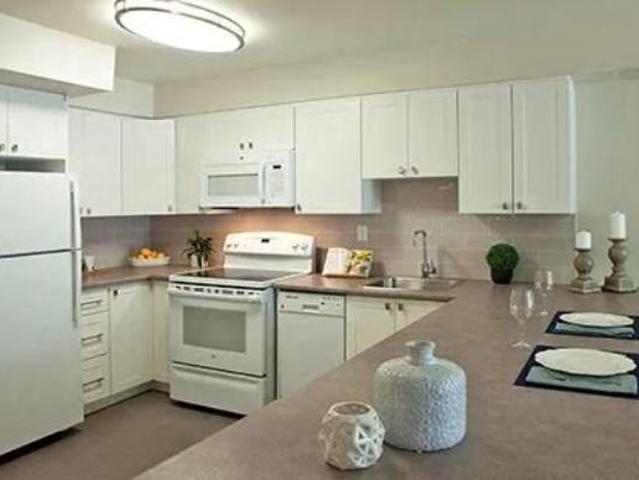 1 Br, 1 bath, Apartment 534 Mary Street East
