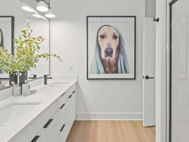 1 Br, 1 bath, Apartment 536 W Tremont Ave