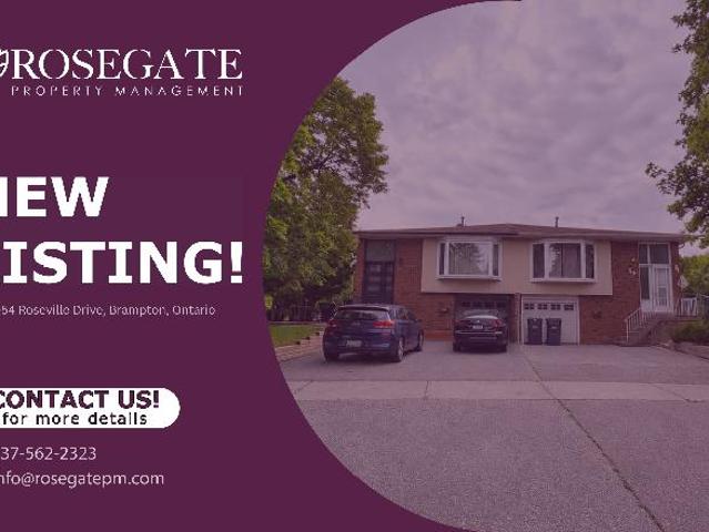 1 Br, 1 bath, Apartment 54 Roseville Drive