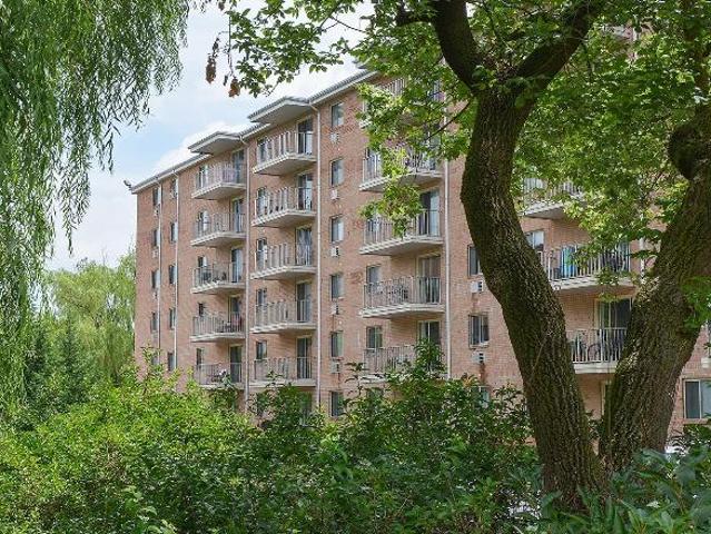1 Br, 1 bath, Apartment 550 American Ave