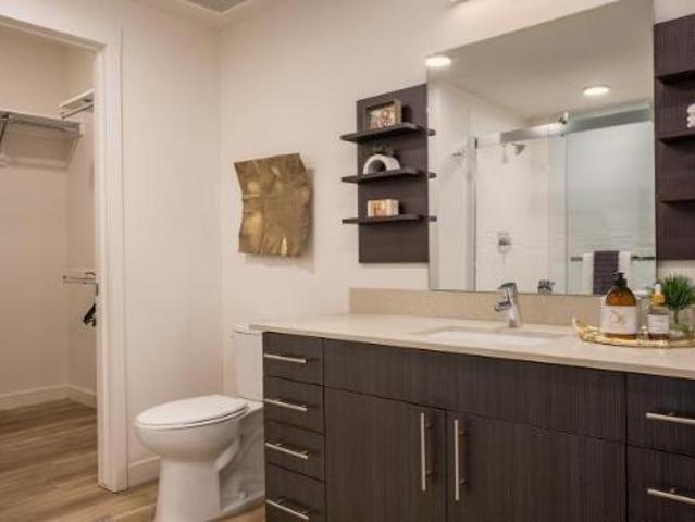1 Br, 1 bath, Apartment 6500 Americas Pkwy