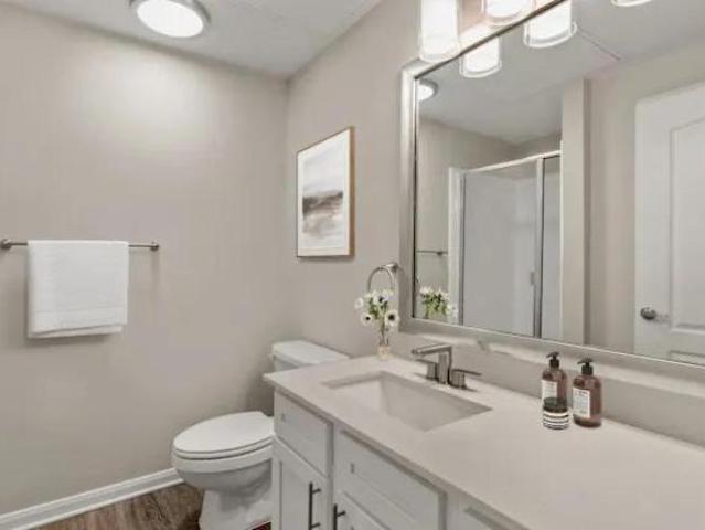1 Br, 1 bath, Apartment 692 Lake Carolyn Parkway