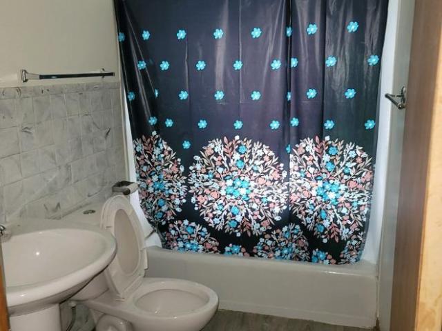 1 Br, 1 bath, Apartment 735 West William Street
